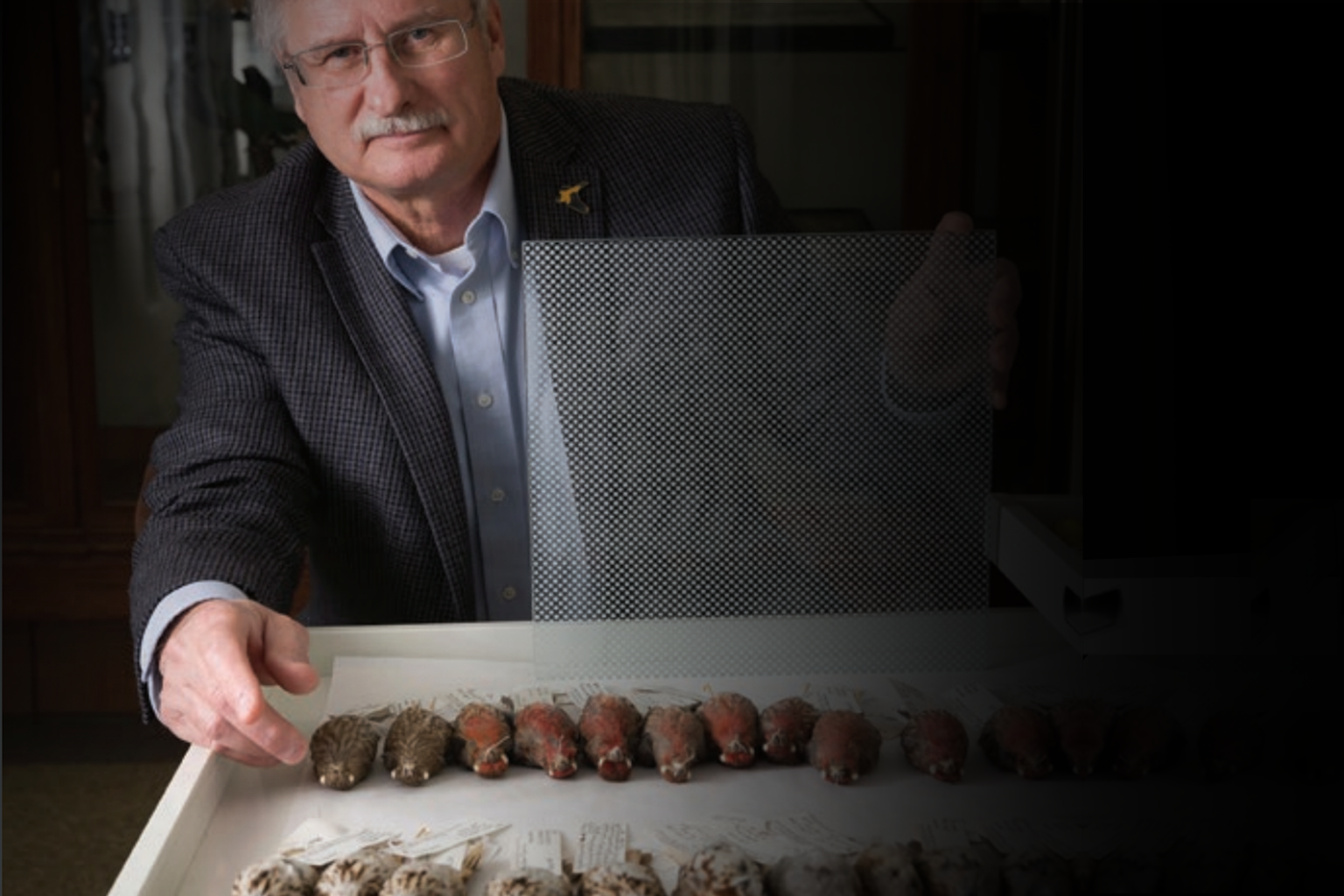 About - Daniel Klem Jr.